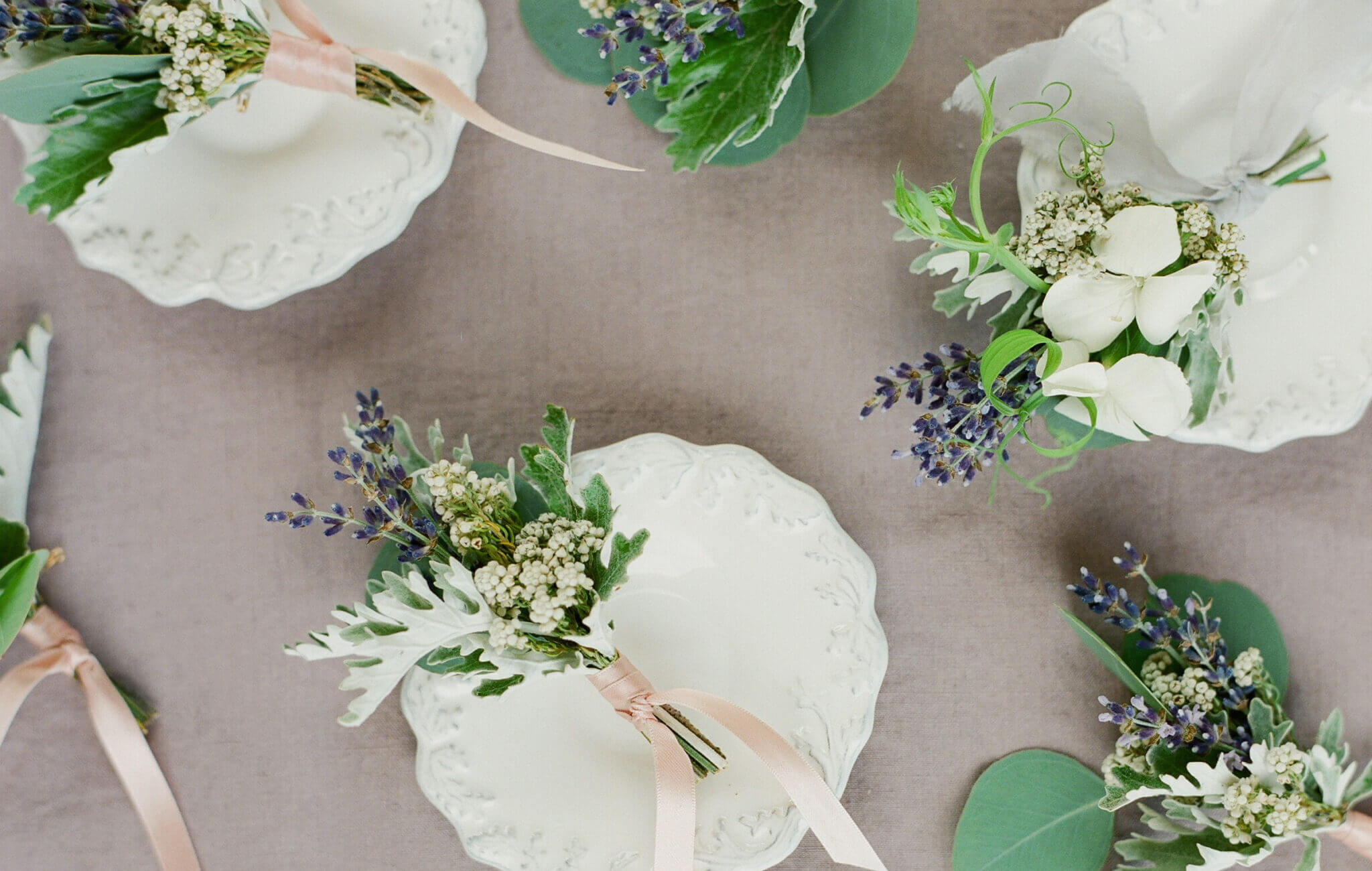 3 Easy Steps to Finding Plus-Size Mother of the Bride & Groom Dresses ...